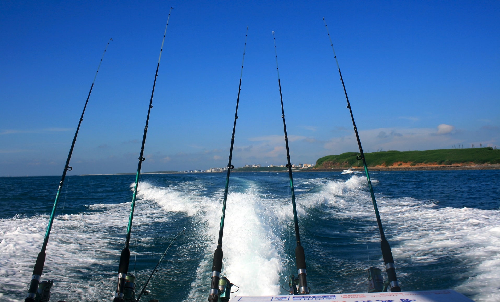 Shark Fishing with Penn Reels → Buyers Guide + Top 3 Picks - GFL Outdoors