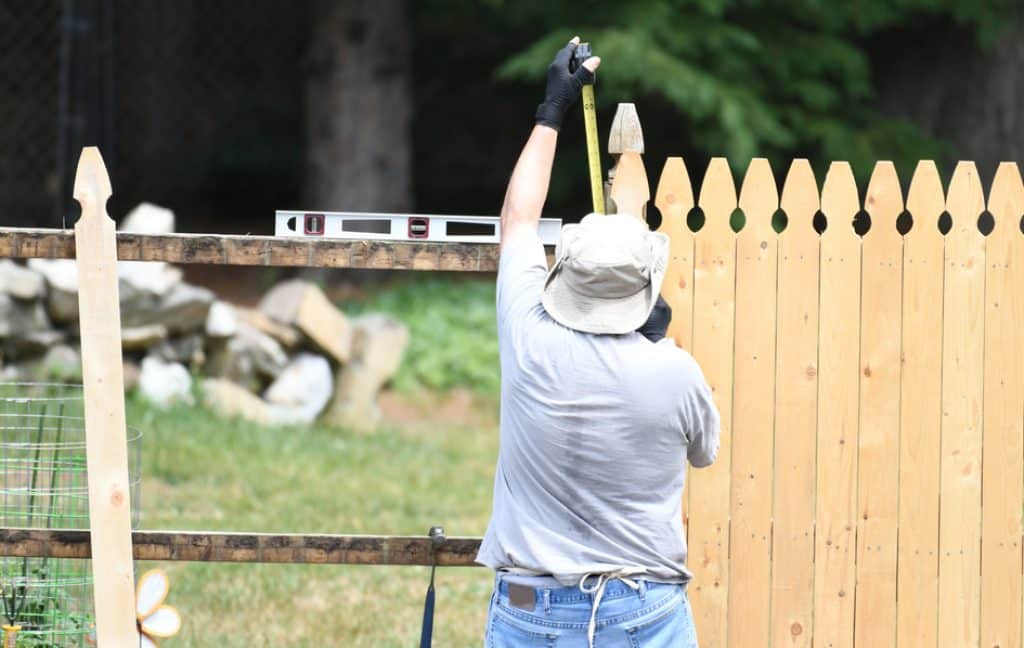 7 Smells That Repel Squirrels (Deterrent Strategies) – GFL Outdoors