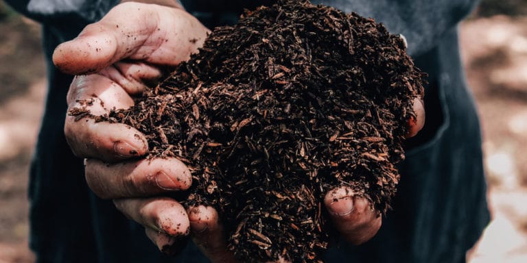 What Are the Benefits of Humic Acid and How Long Does It Take to Work?