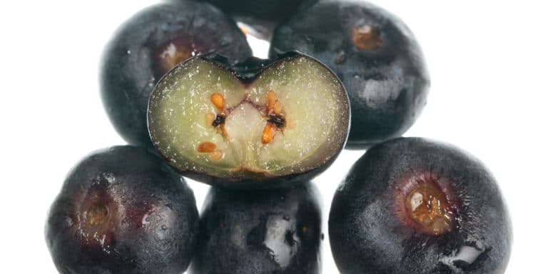 Do blueberries have seeds? [Yes, You Can Do A Lot With Them] – GFL Outdoors