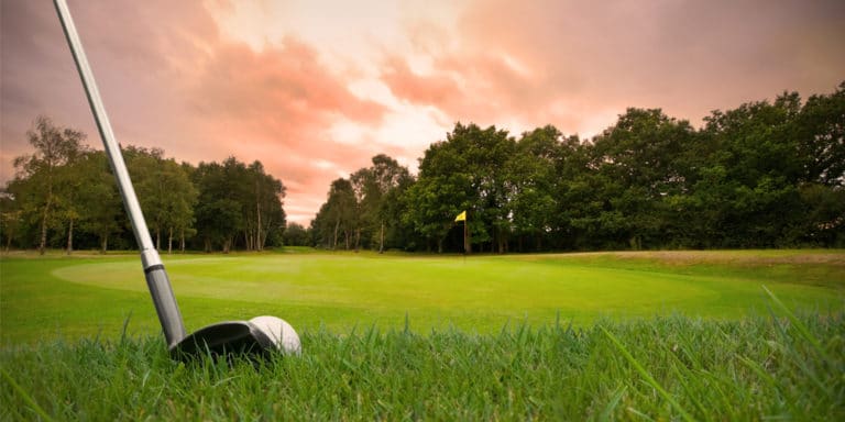 Golf Course Bermuda Grass: All You Need to Know – GFL Outdoors