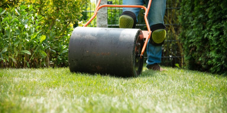 A Guide to Making a DIY Lawn Roller – GFL Outdoors