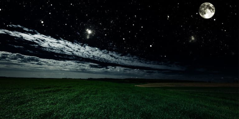 Does grass grow at night? (Yes, Here's Why) - GFL Outdoors