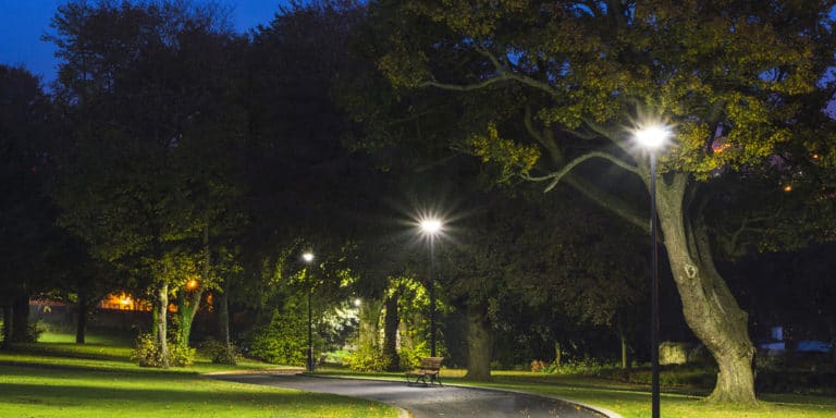 Does grass grow at night? (Yes, Here's Why) - GFL Outdoors