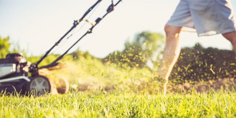 How to Scalp a Lawn: All You Need to Know - GFL Outdoors