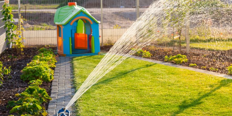 Signs That Your Grass Has Been Overwatered - GFL Outdoors