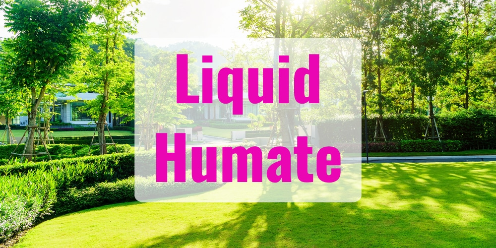 Liquid Humate Pros and Cons: Is it Right for Your Lawn? - GFL Outdoors