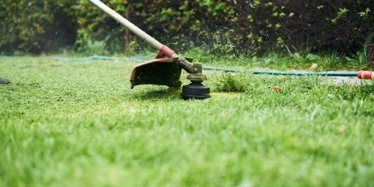 Trimmer Blades vs. String: Which is Right for Your Yard? - GFL Outdoors