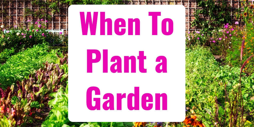 When to Plant a Garden: Everything You Need to Know - GFL Outdoors