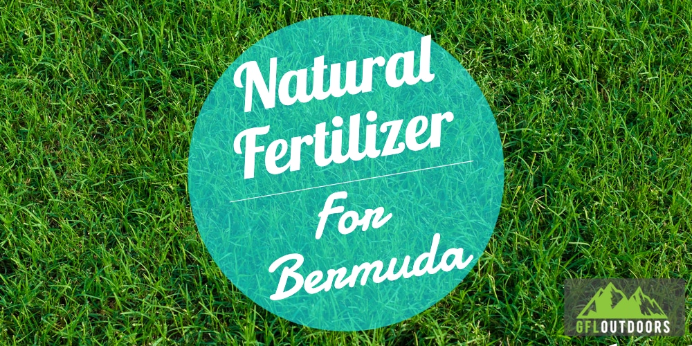 A Guide to Organic and Natural Fertilizer for Bermuda Grass