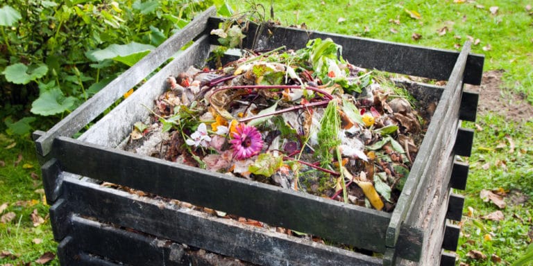 Should I Cover My Compost Pile?: Composting Tips - GFL Outdoors