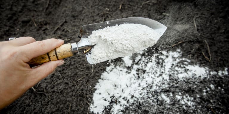 Adding Lime To Clay Soil: The Essential Guide - GFL Outdoors