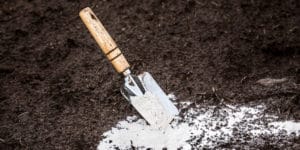 Adding Lime To Clay Soil: The Essential Guide - GFL Outdoors