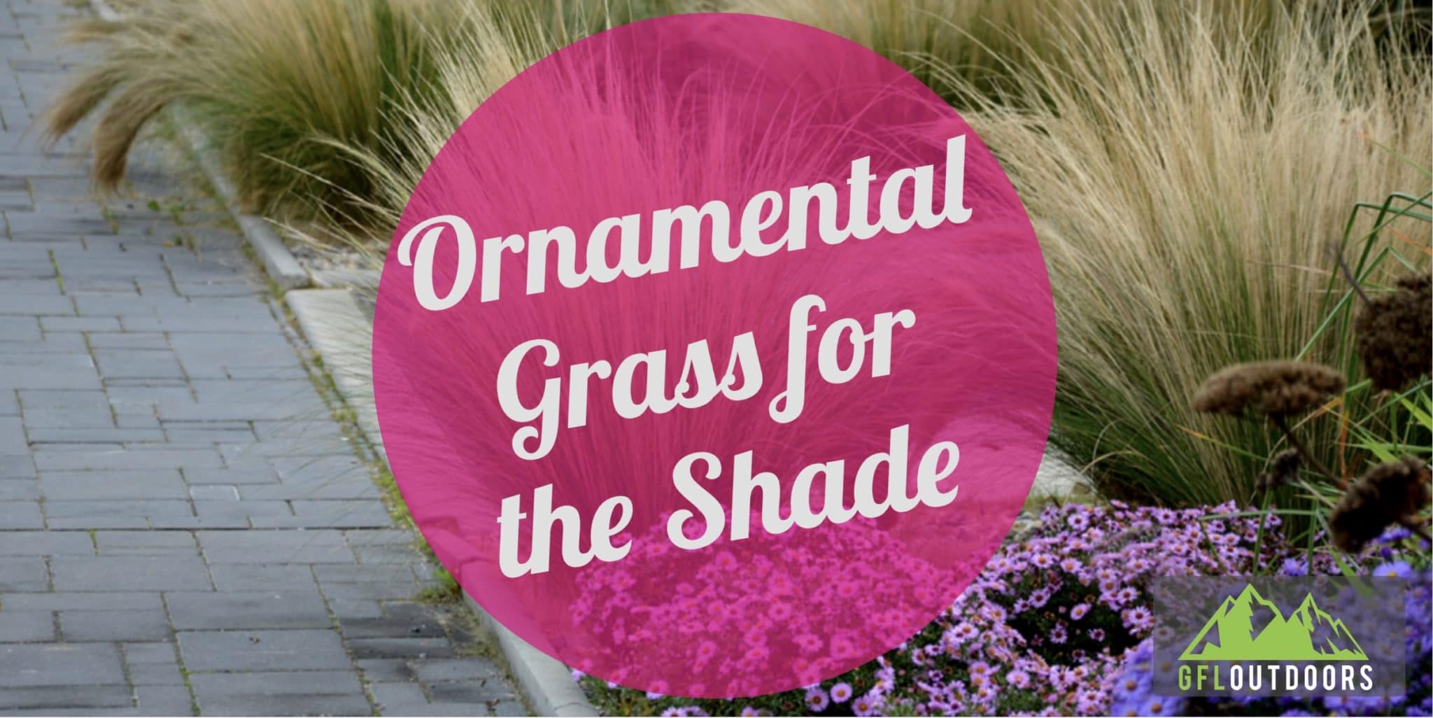 8 Ornamental Grasses That Grow Well In The Shade Gfl Outdoors