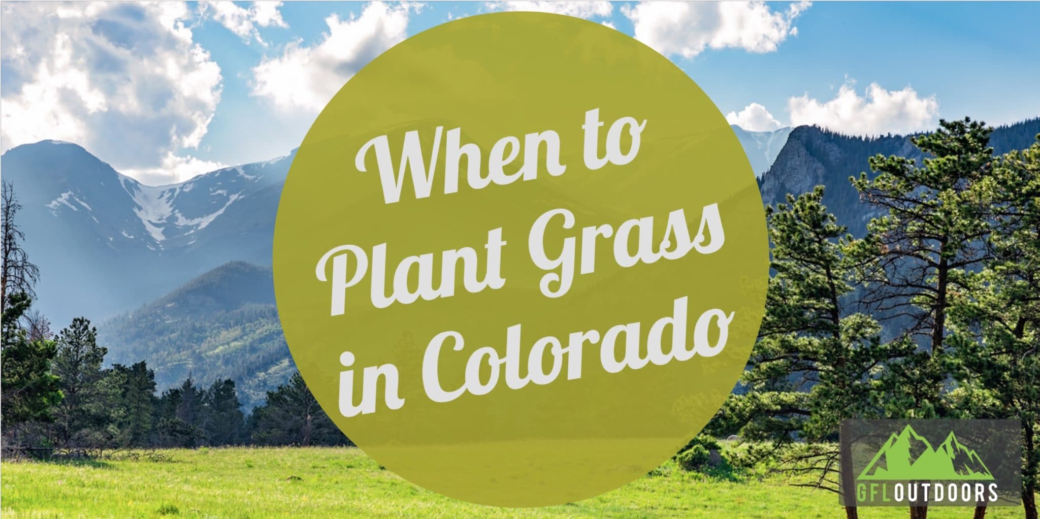 The Best Time of Year to Plant Grass in Colorado (All Factors)