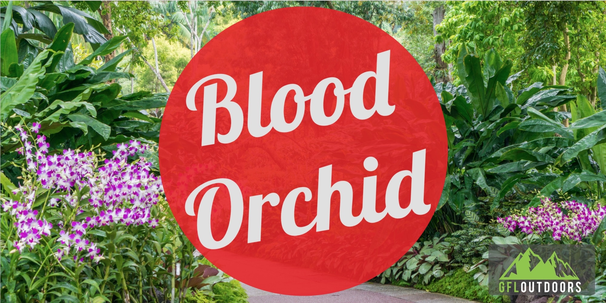 Blood Orchid Flower: Growth and Care - GFL Outdoors