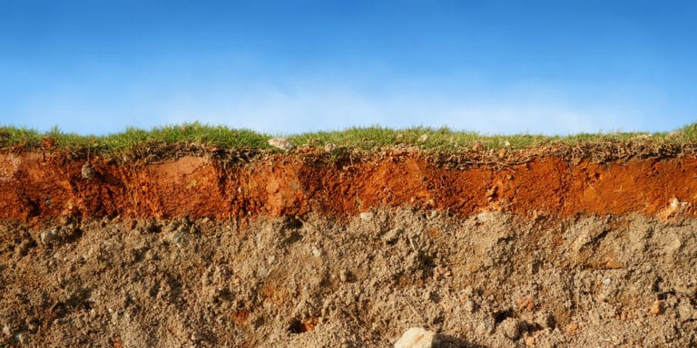 How to Make Well Drained Soil: Everything You Need to Know