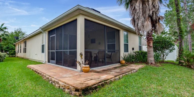 Tall Potted Plants for Patio Privacy: Trees, Grasses, and Vines