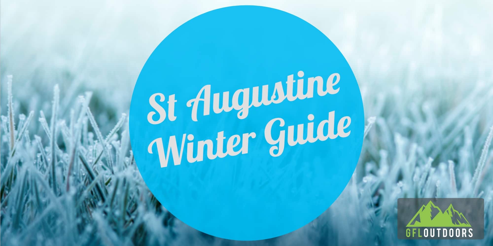 Should You Fertilize St Augustine Grass In Winter Gfl Outdoors