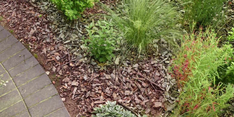 Will Grass Grow Through Wood Chips? [Not If Laid Right] - GFL Outdoors