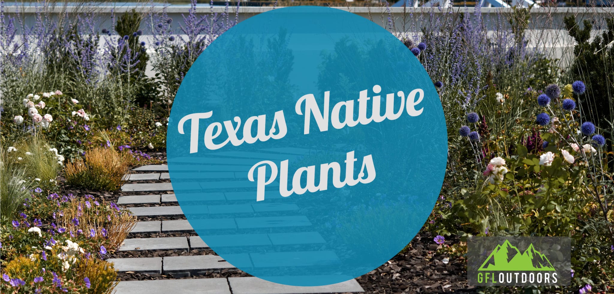 Texas Native Plants for Landscaping - GFL Outdoors