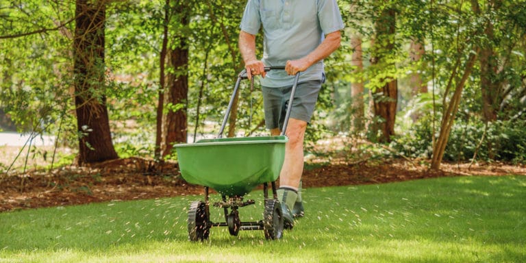 0 20 20 Fertilizer for Clover: A Guide to Fertilizing Clover - GFL Outdoors