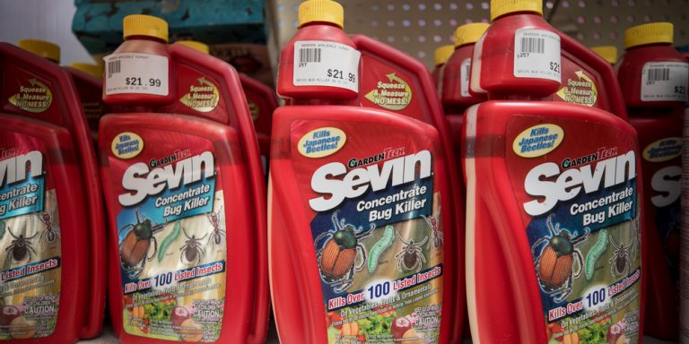 Does Sevin Kill Earthworms? All You Need to Know - GFL Outdoors
