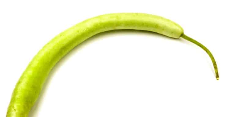 White Squash Varieties: The Essential Guide – GFL Outdoors