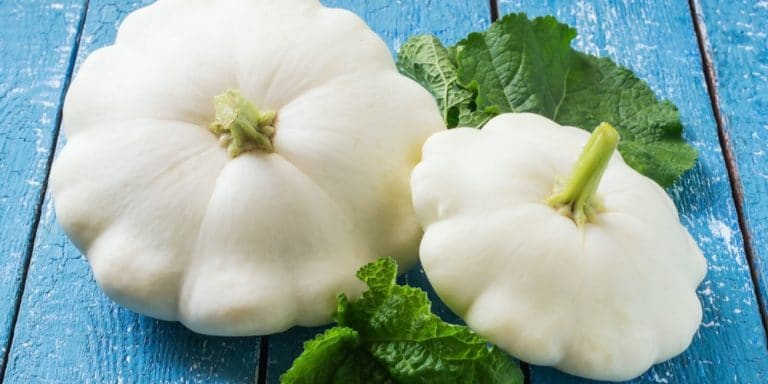 White Squash Varieties: The Essential Guide - GFL Outdoors