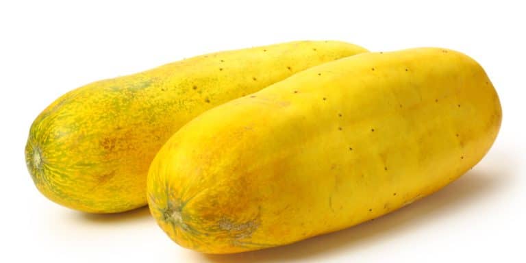 Can You Eat A Yellow Cucumber? The Essential Guide – GFL Outdoors
