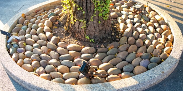 Landscaping Around Trees with Rocks - GFL Outdoors