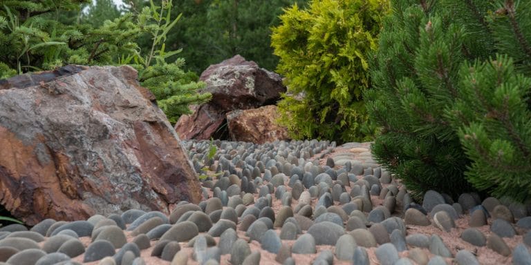Landscaping Around Trees with Rocks - GFL Outdoors