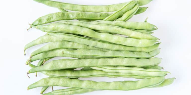 Planting Kentucky Wonder Pole Beans: Tips and Tricks – GFL Outdoors