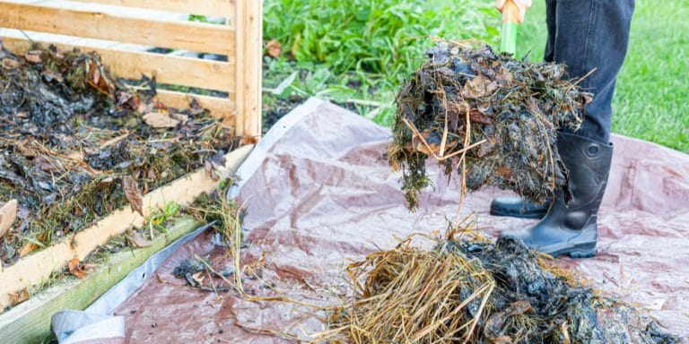 Should I Cover My Compost Pile?: Composting Tips - GFL Outdoors