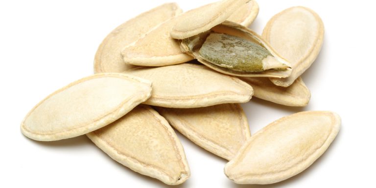 Zucchini Seeds: How to Collect, Harvest, Save, and Plant - GFL Outdoors