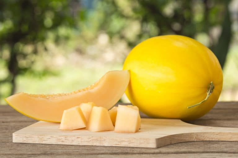 Summer Melons: A Guide to the Sweetest, Freshest Varieties