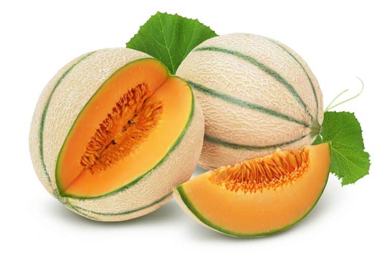 Summer Melons: A Guide to the Sweetest, Freshest Varieties
