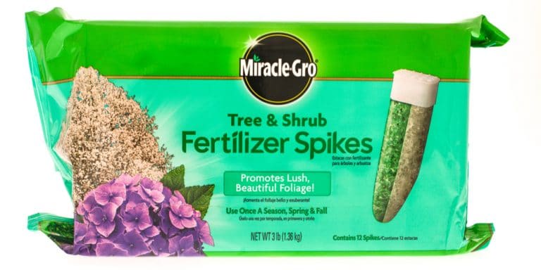 Can Fertilizer Spikes Kill Trees: How to Fertilize Trees - GFL Outdoors
