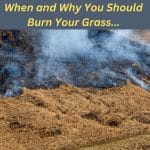 Why Burn Grass? The Benefits of Burning Grass - GFL Outdoors
