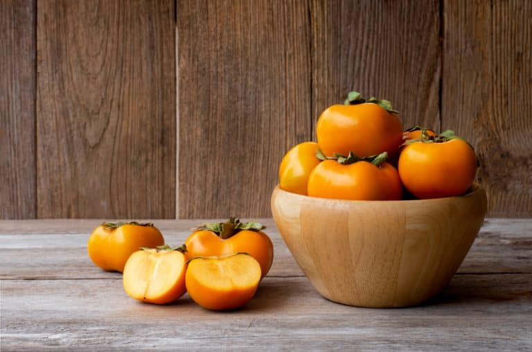 Persimmon Tree Virginia: Growth and Care Guide - GFL Outdoors