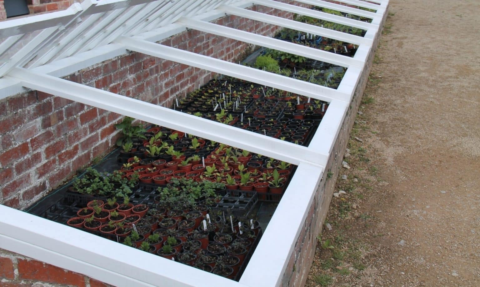 How to Use Cold Frames to Extend Your Illinois Growing Season: A Quick ...