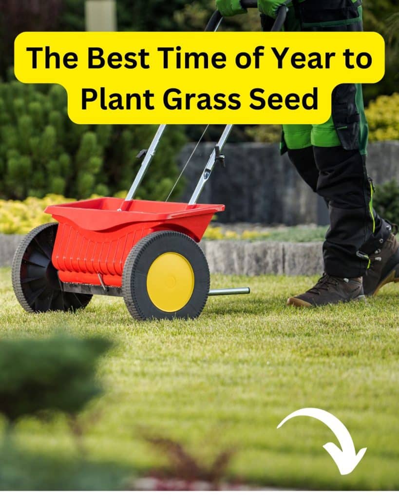 The Best Time of Year to Plant Grass Seed: Seasonal Planting Guidelines ...