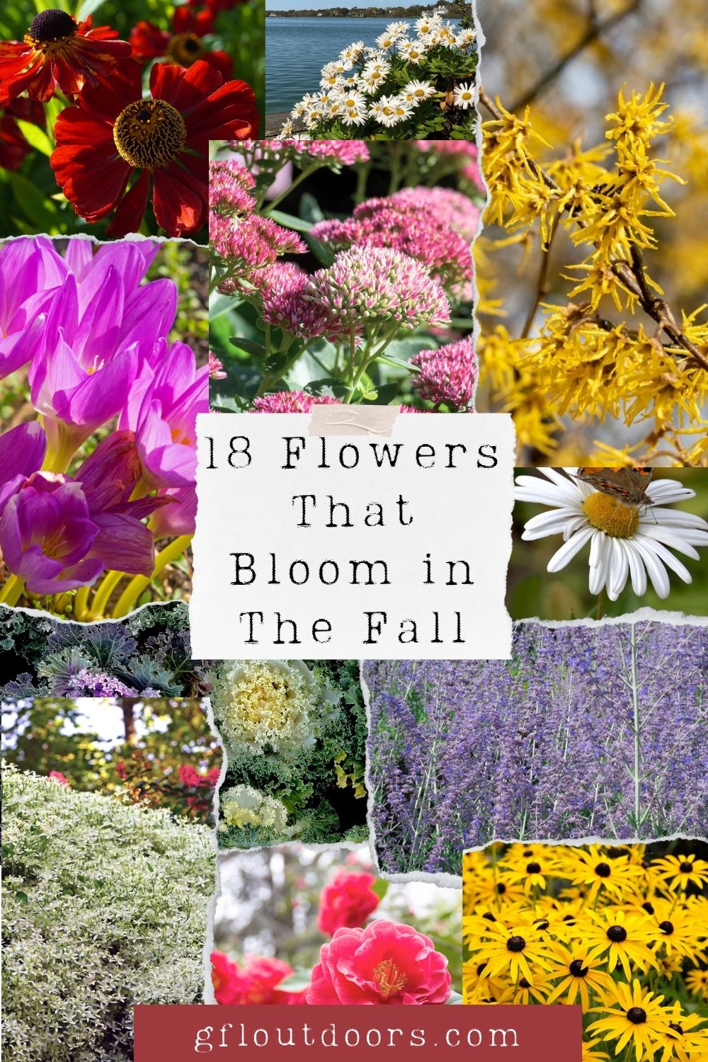 18 Terrific Flowers That Bloom in the Fall – GFL Outdoors