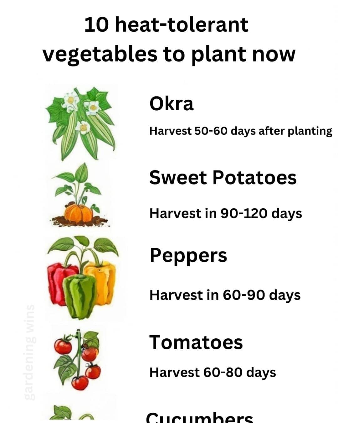 10 Heat Tolerant Vegetables to Plant Now and When to Harvest - GFL Outdoors