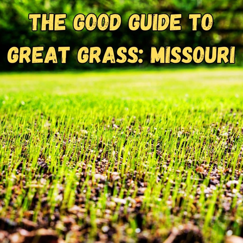 The Good Guide To Great Grass: Missouri - GFL Outdoors